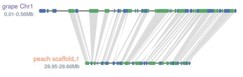 Mcscan Python Version Tanghaibao Jcvi Wiki Github