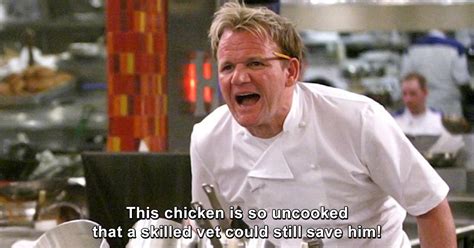 20 Of Gordon Ramsays Funniest Ever Insults And Quotes