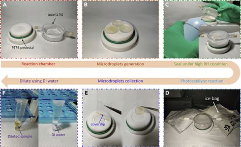 Experimental Processes For Scale Up Tests Of Heterogeneous Download Scientific Diagram