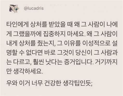 부아c 제일 마음에 드는 것은 5 우리는 결국 우리 자신이 선택한 것을 하게 되어 있다 그러니 Why Not 지금 그것을 선택하는 것도 Instagram
