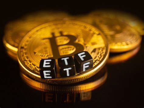The 7 Best Bitcoin Etfs A Comprehensive Guide For Investors