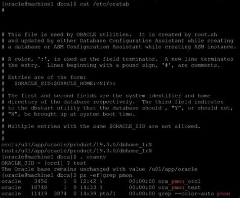 Create And Drop Oracle Database Using Dbca Silent Method