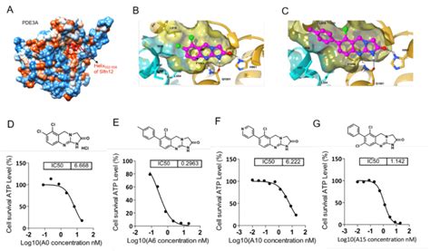 Structure Guided Optimization Of Anagrelide Led To A6 With Significant