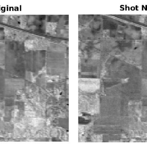The Noise Free 50 Band In The Indian Pines Data Cube And The Noisy Download Scientific Diagram