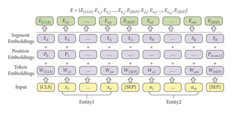 Construction Of Input Sequence Representations Of The Fault Entity Pair