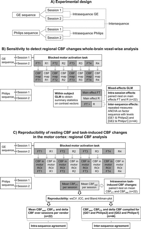 Design And Analyses Schematic Overview Of A Experimental Design And