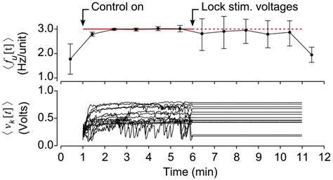 Closed Loop Stimulation Is Required To Robustly Clamp Population