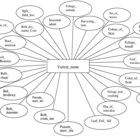 Entity Relationship Diagram Download Scientific Diagram