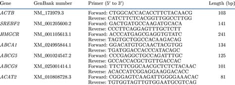 Sequences Of Primers Used For Real Time Pcr Amplification Download
