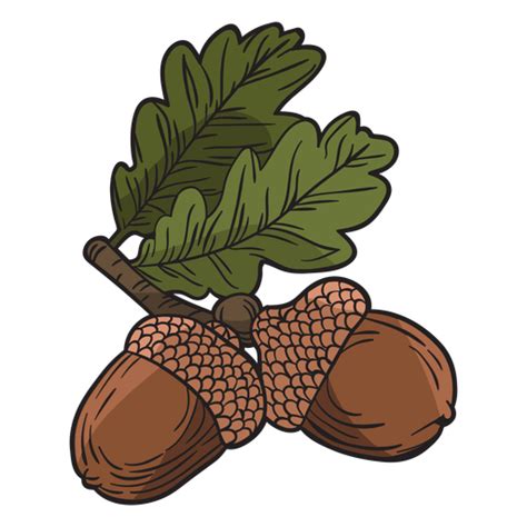 Diseño Png Y Svg De Bellota Dibujada A Mano Para Camisetas