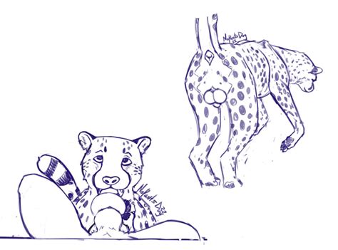 Rule 34 Animal Genitalia Animal Penis Anthro Anthro On Feral Anus