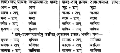 Taap Pratyay In Sanskrit टाप् प्रत्ययः Taap Pratyay Ke Udaharan परिभाषा भेद संस्कृत
