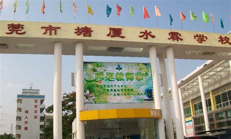 塘厦水霖实验学校 塘厦实验小学 南山中学实验学校 大山谷图库