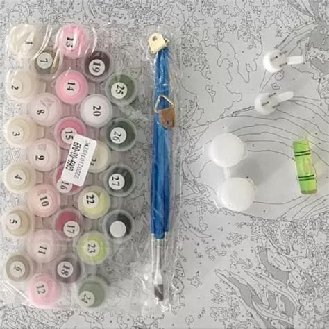 Златна рибка и момиче Рисуване по номера картина с размер 40 х 50 см Artbox Bg