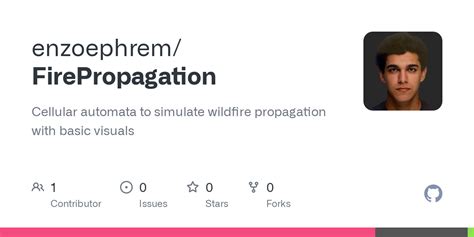 Github Enzoephremfirepropagation Cellular Automata To Simulate