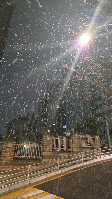 쓰치니들 안녕 이제 퇴근하는데 이게 무슨일이람 봄옷 신상이 잔뜩들어왔는데 왠눈이 ㅠㅠㅠ 낼부터 또 춥대 따뜻하게 입구 출근해 스하리 와줘 반하리 꼭 간닷