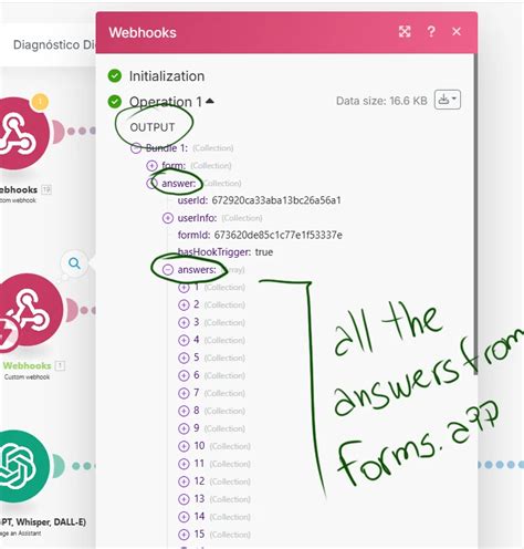 webhook variables are not showing correctly on the modules how to