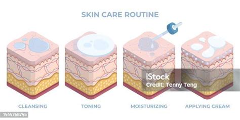 아이소메트릭 인간 피부 관리 3d 표피 치료 얼굴 피부 관리 클렌징 토닝 및 수분 공급 평면 벡터 그림 피부과 피부 치료 피부에 대한 스톡 벡터 아트 및 기타 이미지