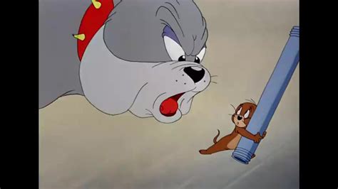 کارتون موش وگربه