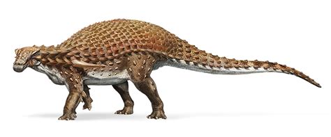 Incredible Sleeping Dragon Dinosaur Mummy Is So Well Preserved That