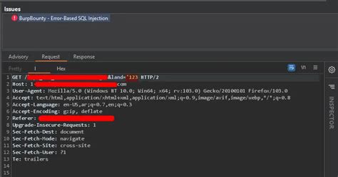 Sqlidetector Detect Sql Injection Error Based