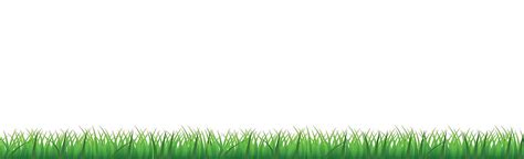 Green Grass Backdrop Early Grass Photo Background And Picture For Free