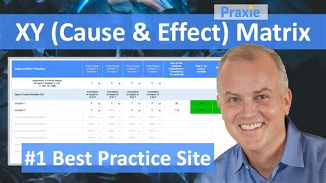 Cause And Effect Matrix Plc