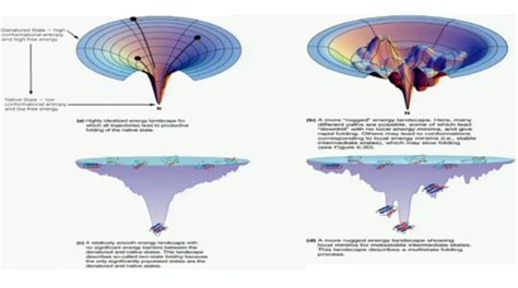 Molecular Reaction Dynamics Flashcards Quizlet