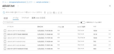 Blob のバージョン管理を有効にして管理する Azure Storage Microsoft Learn
