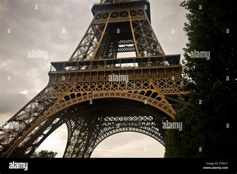 Eiffel Tower And Tree Stock Photo Alamy