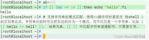 shell中各种括号使用详解 shell 括号 csdn博客