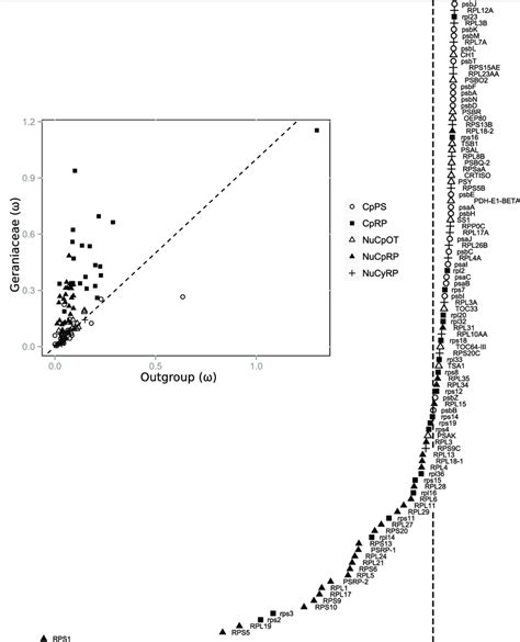 Plot Of Log P Value For Each Gene From Lrts Two Models Were Compared Download Scientific