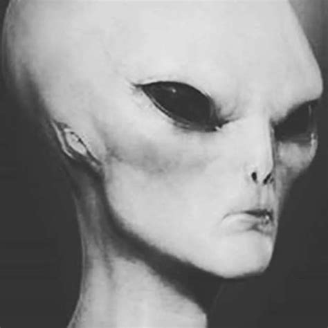 Cryptid Xposé Cryptidxpose • Instagram Photos And Videos