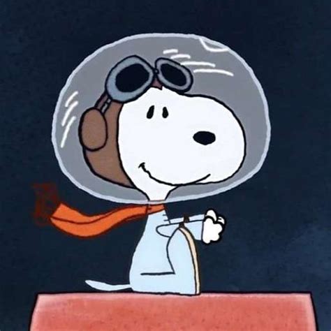 Exploring Arm Debug Architecture 知乎