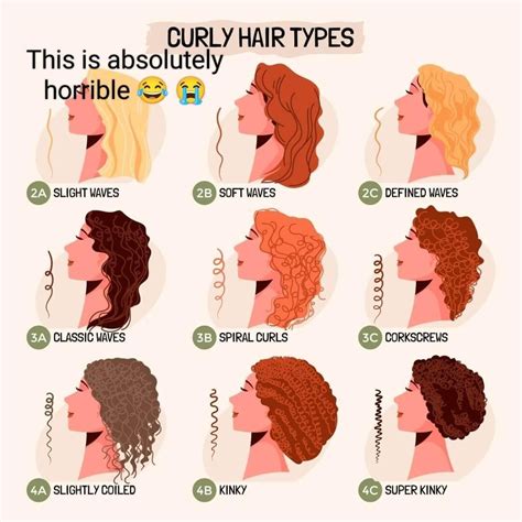 Hair Type Chart How To Determine Your Hair Type An Ultimate Guide
