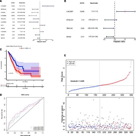 Construction Of Risk Feature A Forest Plot Of Univariate Cox Download Scientific Diagram