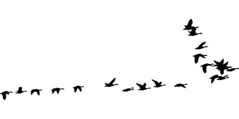 Seamless Shift Planning Data Migration In Recruitment Bizfino