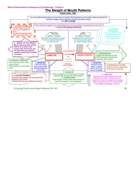Understanding Sleight Of Mouth Patterns Pdf Cancer Diseases And