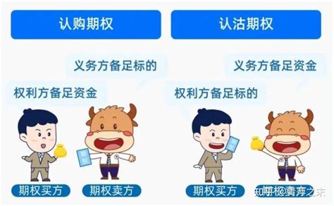 股票期权基础知识五行权与交收 知乎