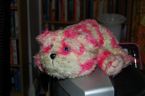 Rejs Photos Janet And Owens Party 27 January 2007