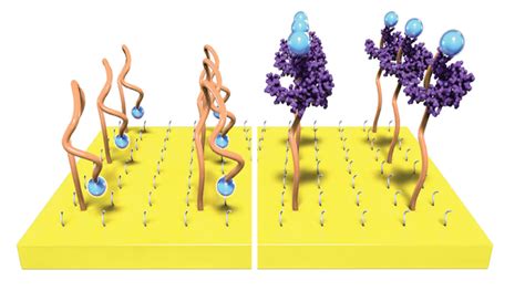 Plastic Transistor Amplifies Biochemical Sensing Signal Eurasia Review