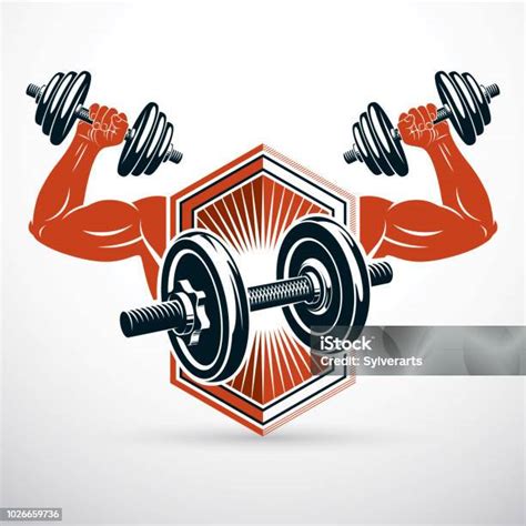 보디 아령과 디스크 무게와 근육 질 팔의 벡터 그림 파워 리프팅 강철에 대한 스톡 벡터 아트 및 기타 이미지 강철 건강한 생활방식 교차 훈련법 Istock
