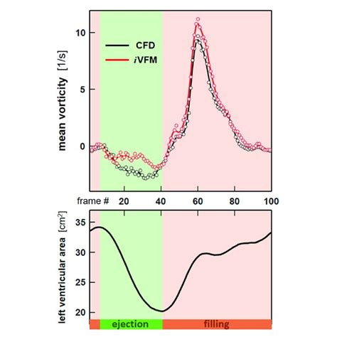 Physics Constrained Intraventricular Vector Flow Mapping Ivfm In A