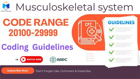 Cpt 2010029999 Explained Musculoskeletal Coding Guidelines Youtube
