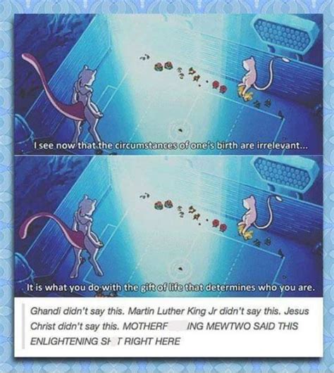 33 Pokemon Memes That Mew Wont Feel Any Shaymin Pokemon Lustig