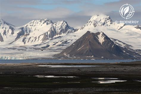 What Is A Biome Definition Types And Examples