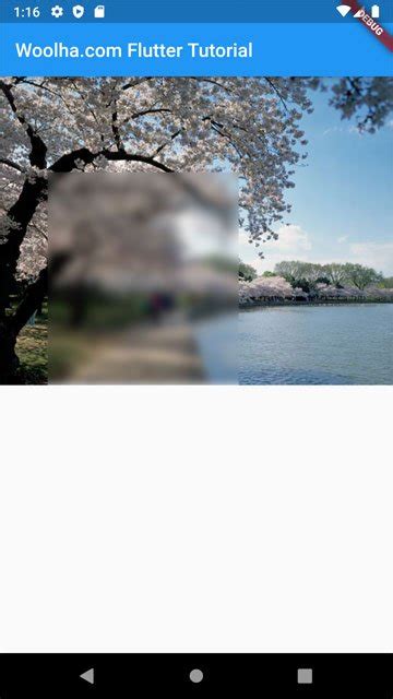 How To Make Blur Effect In Flutter Using Backdropfilter Imagefilter