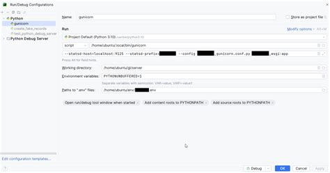 Pycharm How Do I Debug A Remote Gunicorn Python Web App Using Jetbrains Gateway Stack Overflow