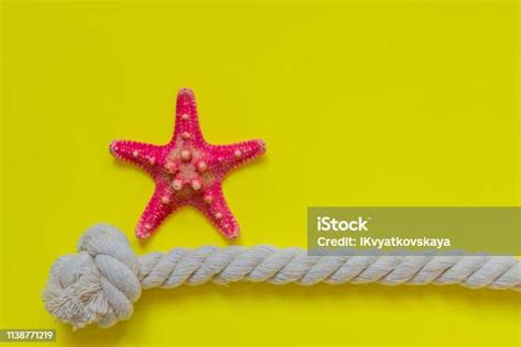 복사 공간 밝은 노란색 배경에 빨간색 불가사리와 밧줄 매듭 여름 휴가 및 휴가 컨셉 개념에 대한 스톡 사진 및 기타 이미지