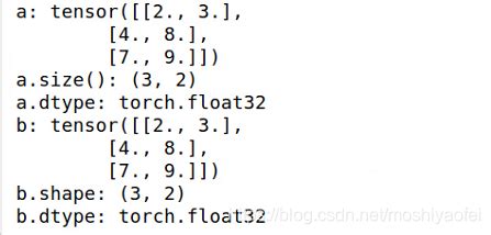 pytorch中Tensor的数据类型 dtype torch float CSDN博客